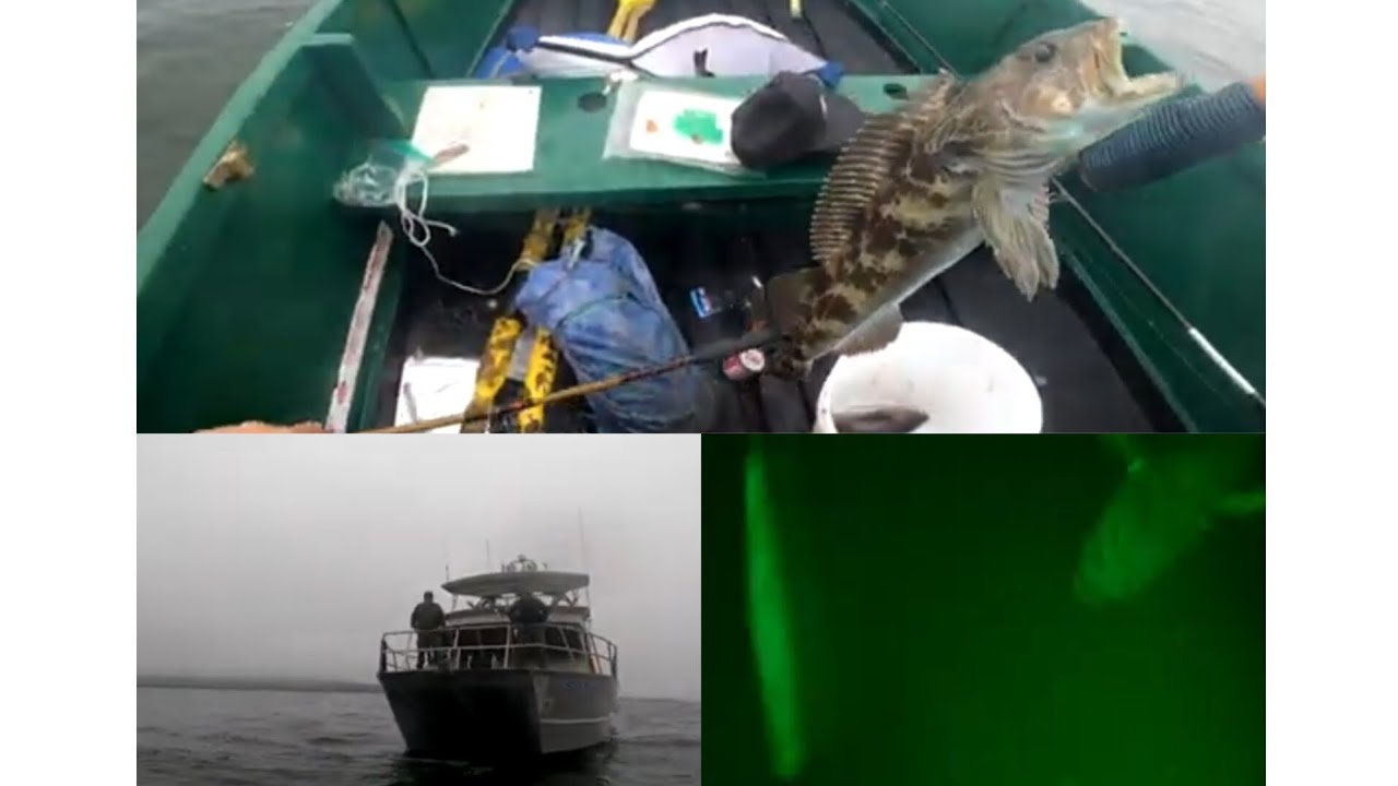 Stopped by FISH& GAME while LINGCOD fishing!!! (LIMITS) plus underwater ...