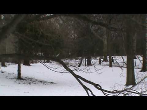Central park snowboard without board - YouTube