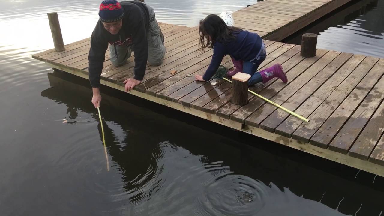Catching fish at the berry guest farm - YouTube