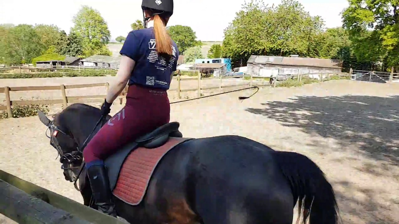Interdressage Yasmin Cole and Beautifully Unknown Starter Dressage Test ...