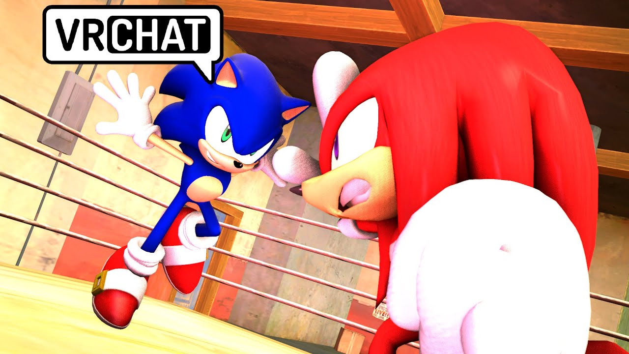 SONIC VS KNUCKLES IN BOXING IN VR CHAT - YouTube