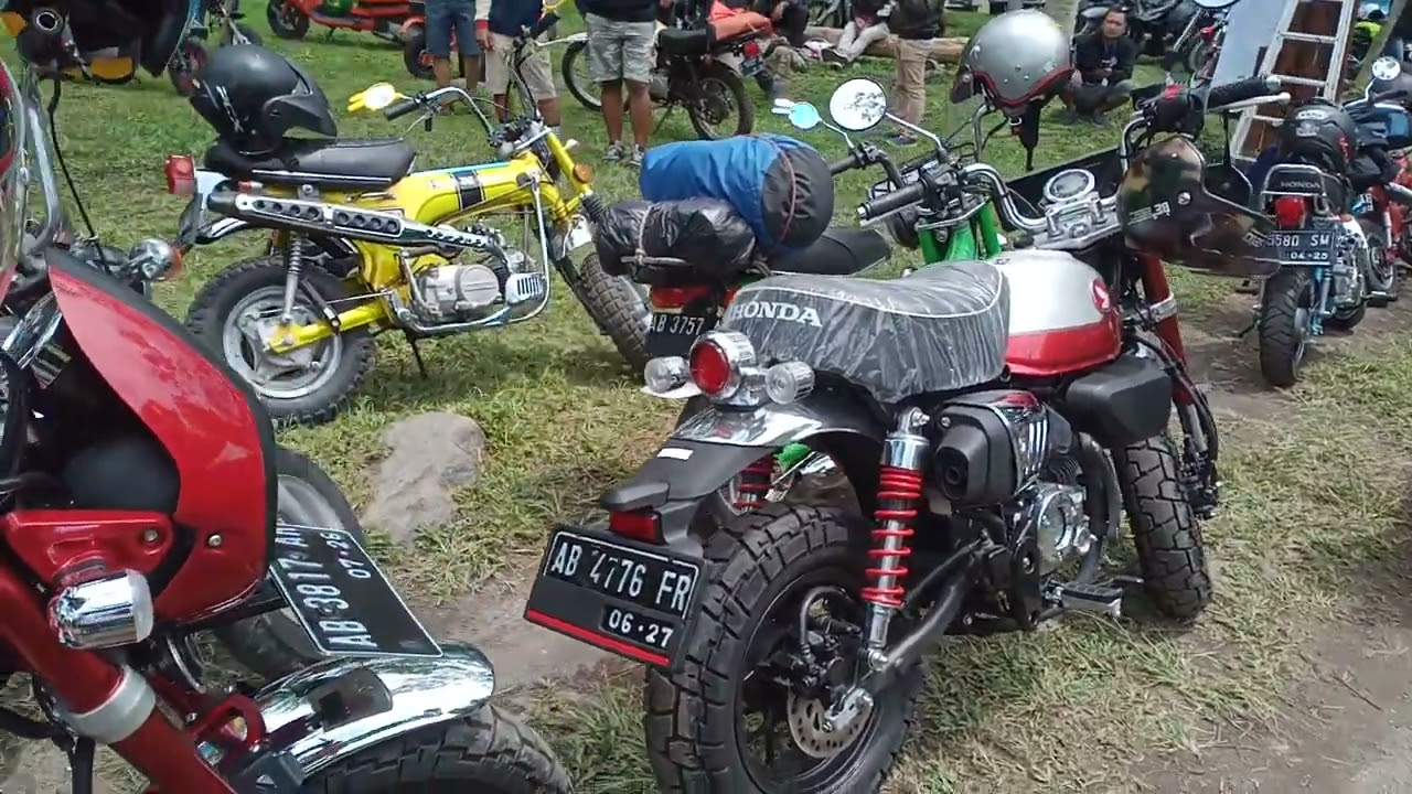 MOTOR MINI HONDA, BEBERAPA TIPE BARU, LIMITED EDITION. - YouTube