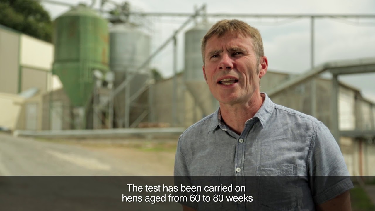 Wisium Customers Success Stories Perfegg France FR HD 2019 10 - YouTube