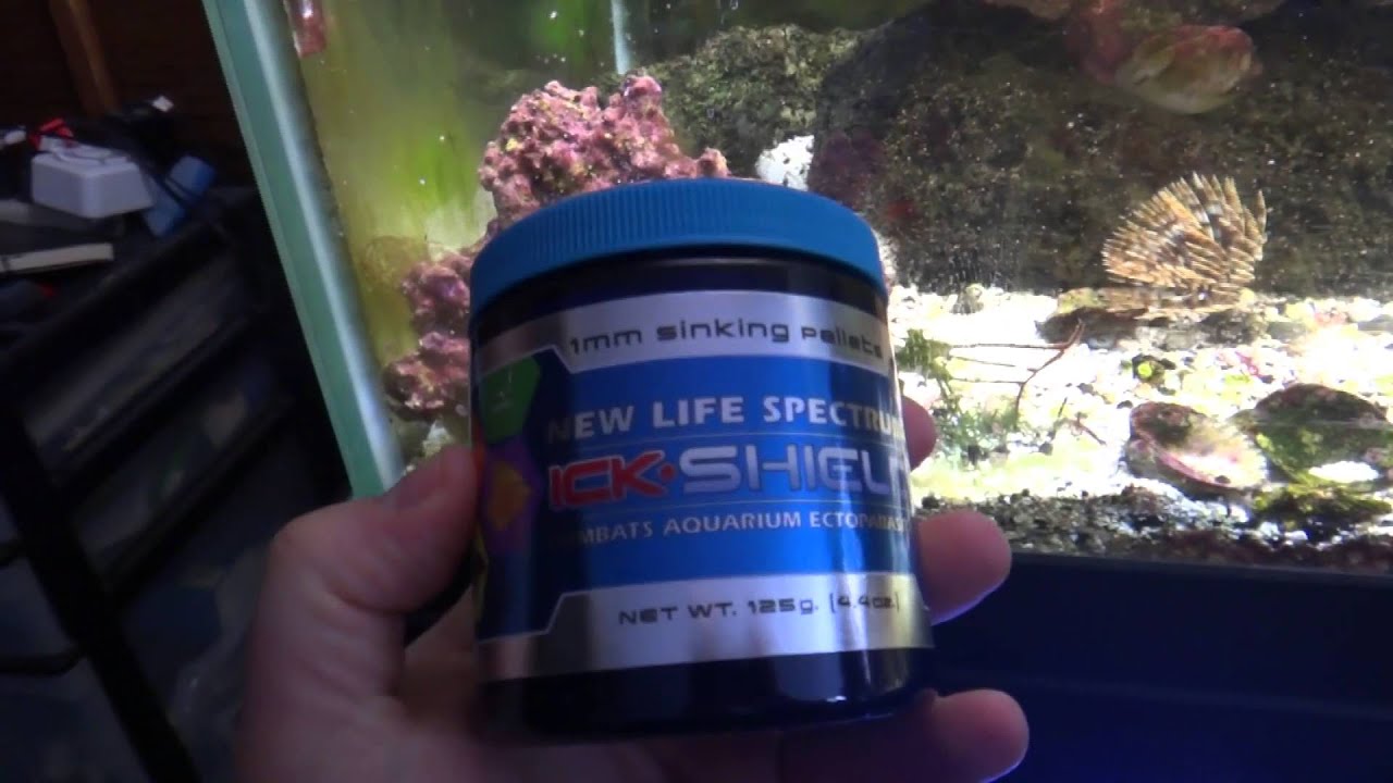 DIY - Salt Water Plastic Refugium Sump PT. 3 - Transition To Glass ...