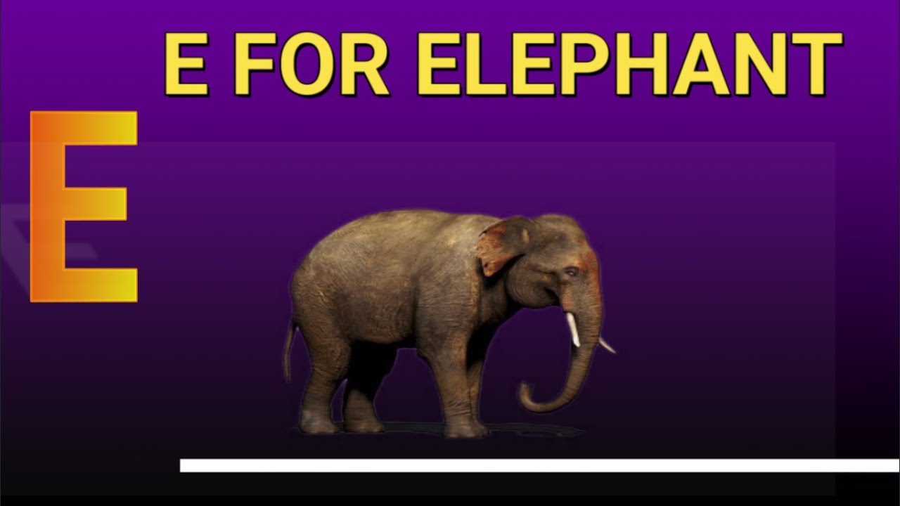 E FOR EGG |E FOR EAGLE |E FOR ELEPHANT | E FOR ENGINE|E FOR EYE |E FOR ...