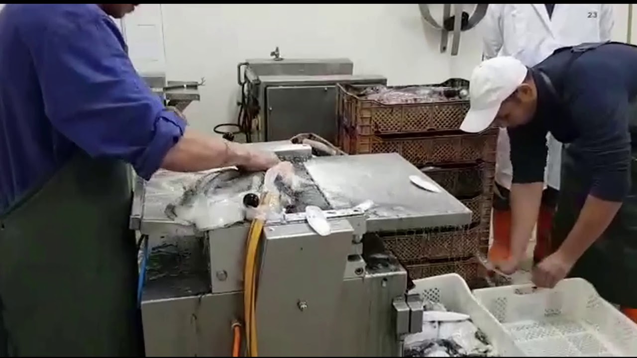 STEEN ST600SV - Free standing cuttlefish skinning machine - YouTube