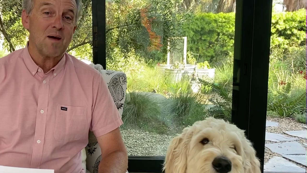 Malibu Mayor Pro Tem Mikke Pierson June 3, 2020 Update - YouTube