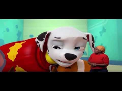 Paw Patrol | UK Dub Clip | (With BSL) - YouTube