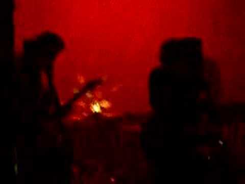 Concert Wild Cactus 1/3