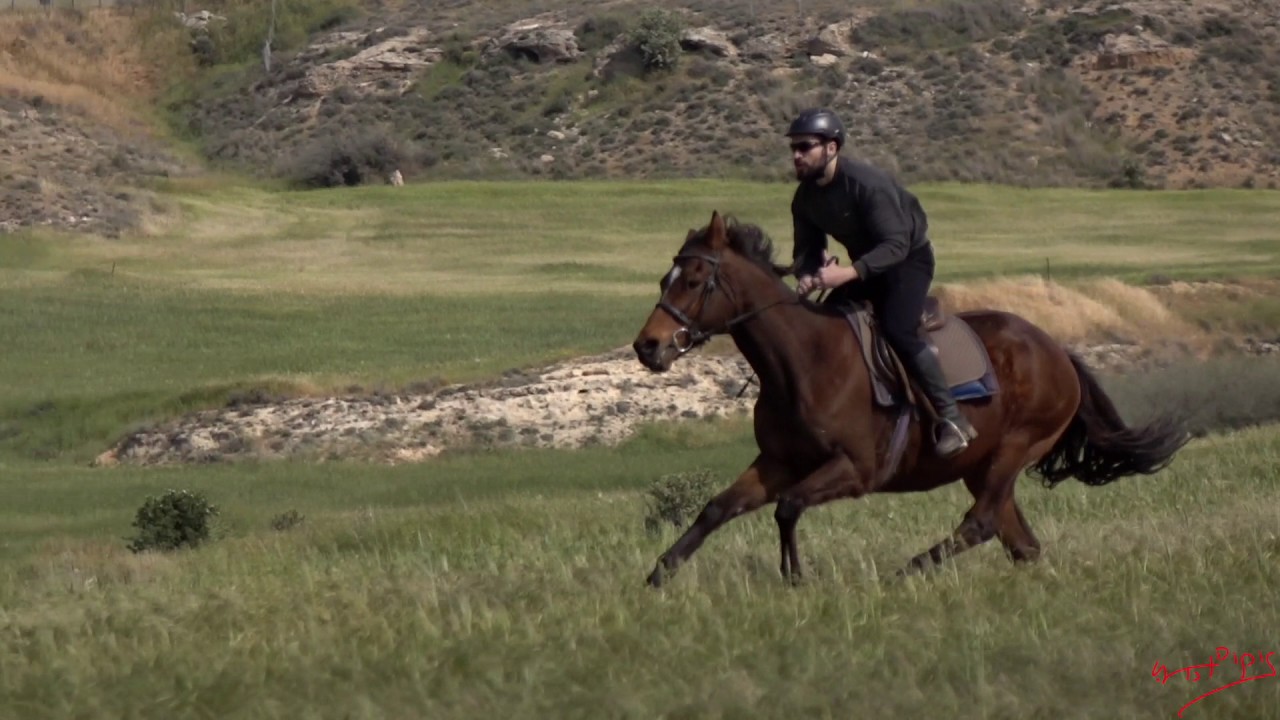 Horse Riding in the Countryside - YouTube