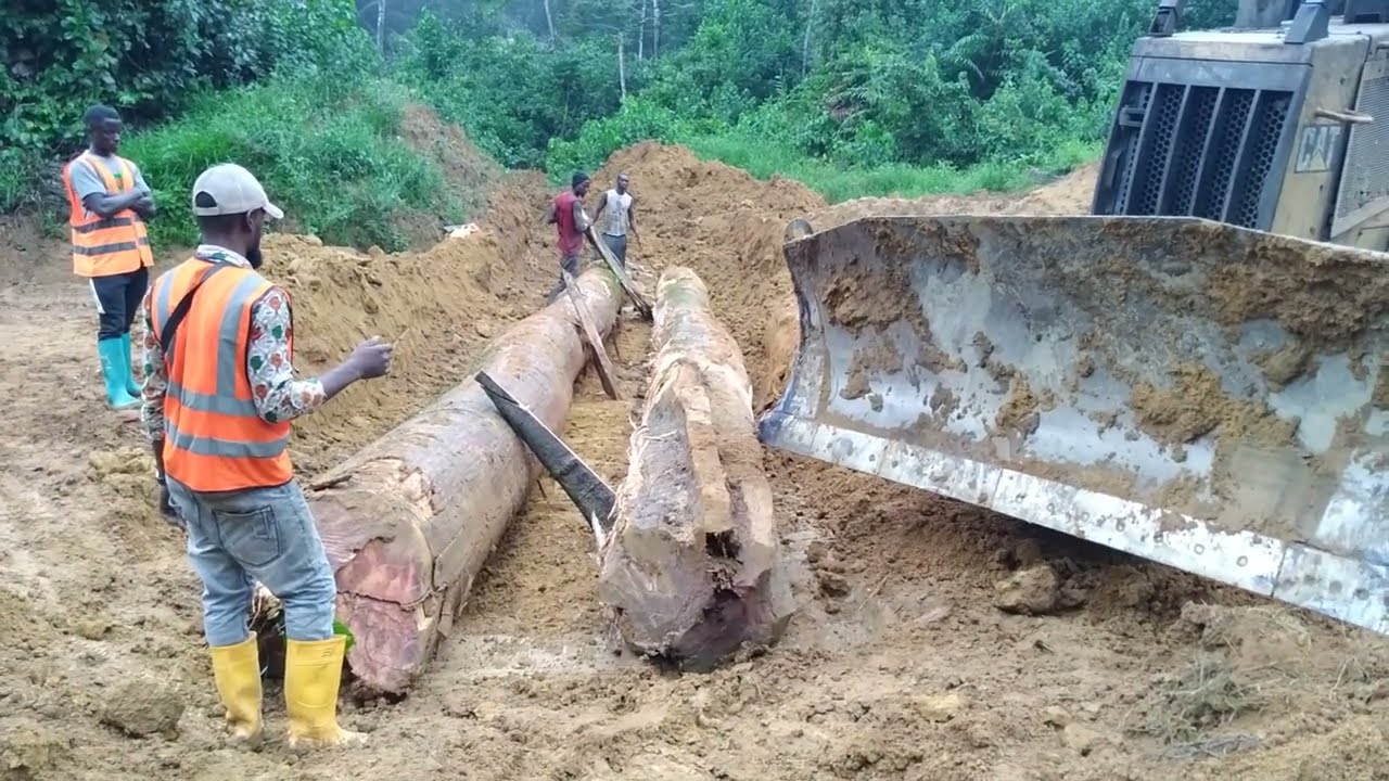 Watch How We Make Water Culvert In The Forest Using Logs - YouTube