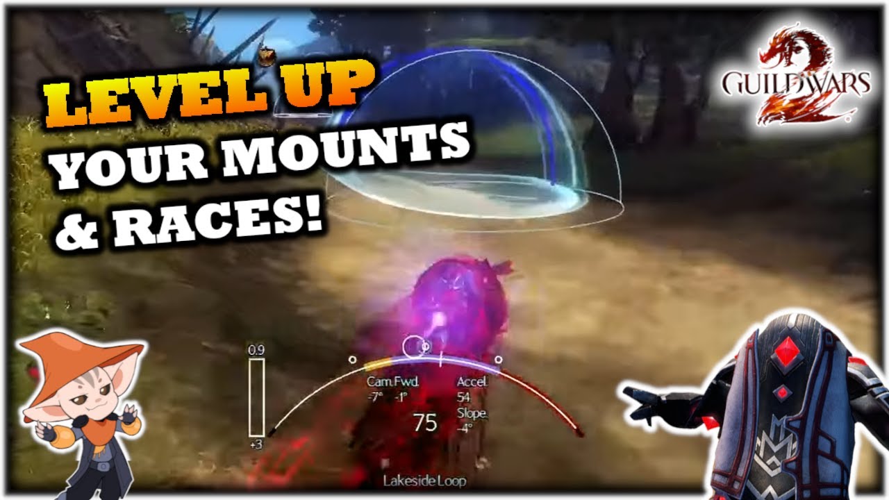 Racing Meter Showcase – Guild Wars 2 Blish HUD Guide - YouTube