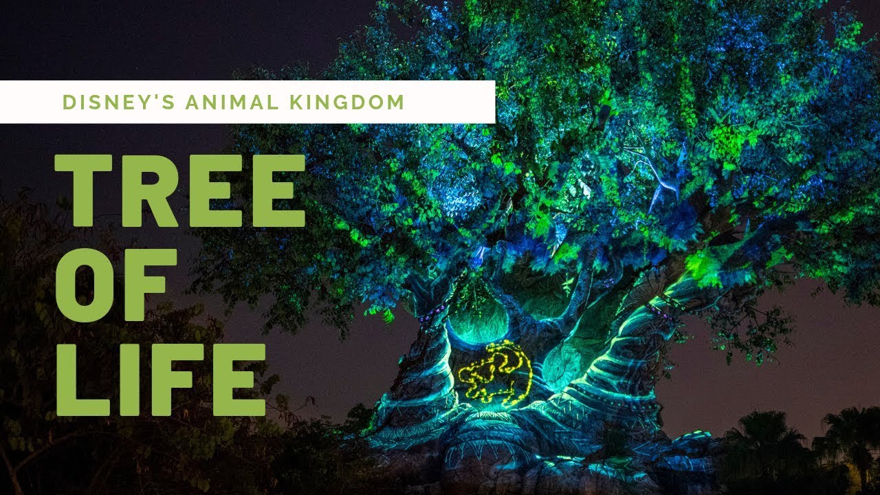 Tree of Life Awakens - The Lion King - Disney's Animal Kingdom - YouTube