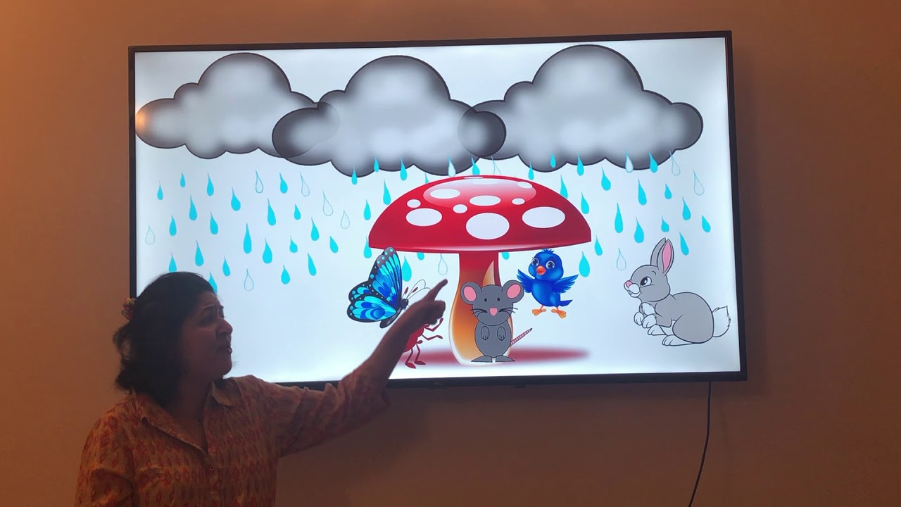 Mushrooms in the rain - YouTube