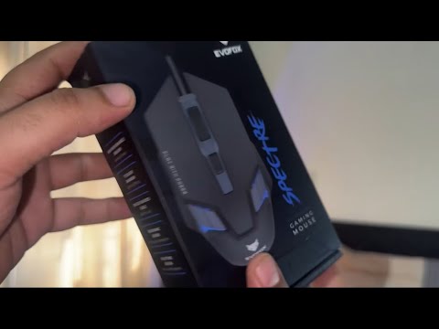 Evofox Spectre Gaming Mouse Review | BEST Budget Gaming Mouse Under ...