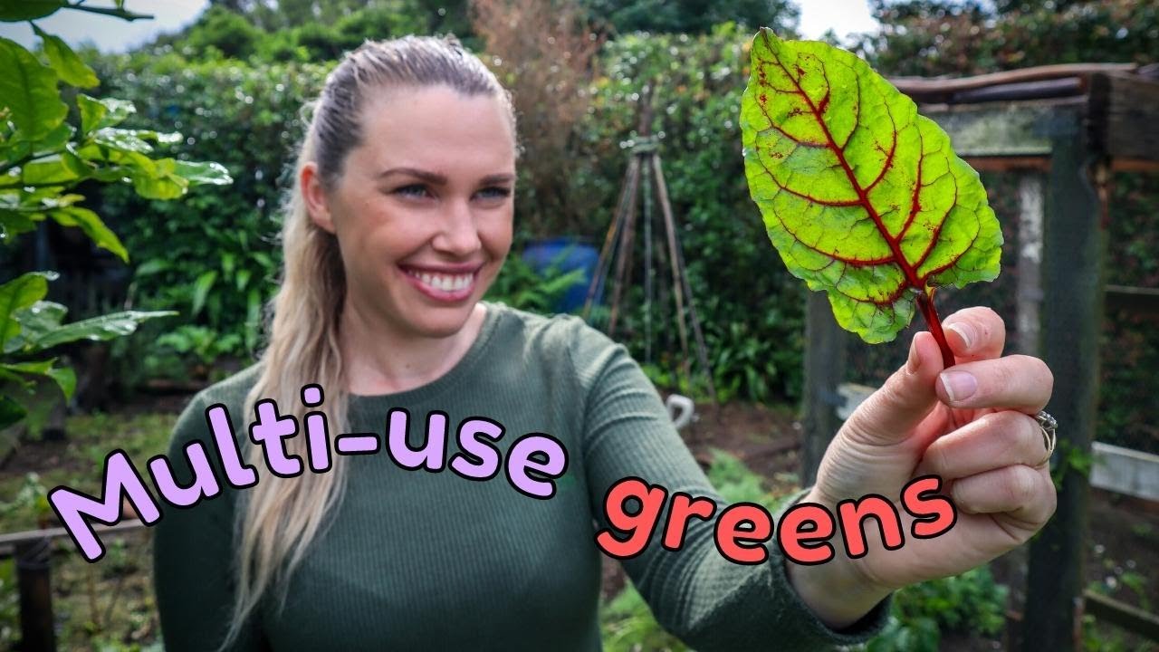 18 LETTUCE Substitutes to eat ALL YEAR ROUND 🥬 Sustainable Living ...