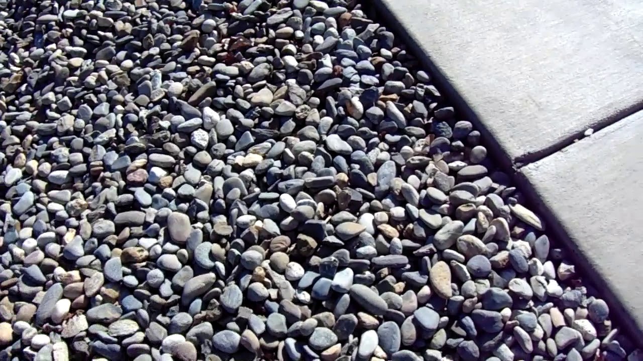 Noiyo River Rock A Better Value Than Mexican Beach Pebbles - YouTube