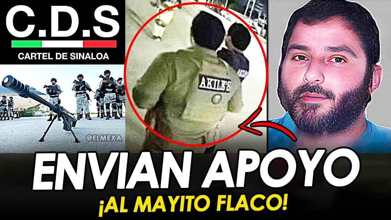 ENVIAN REFUERZOS a "EL MAYITO FLACO" para EXTERMINAR a LOS CHAPOS, en ...