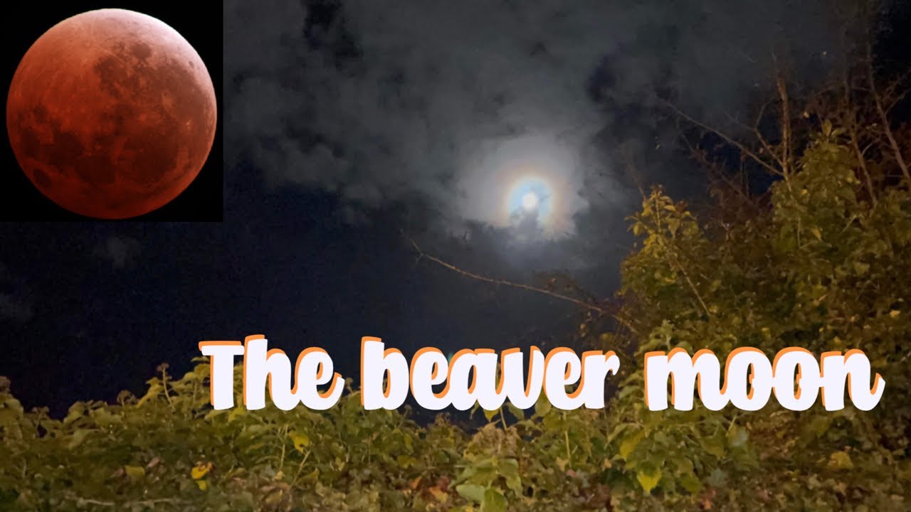 The Beaver Moon 2022 Derry City - YouTube