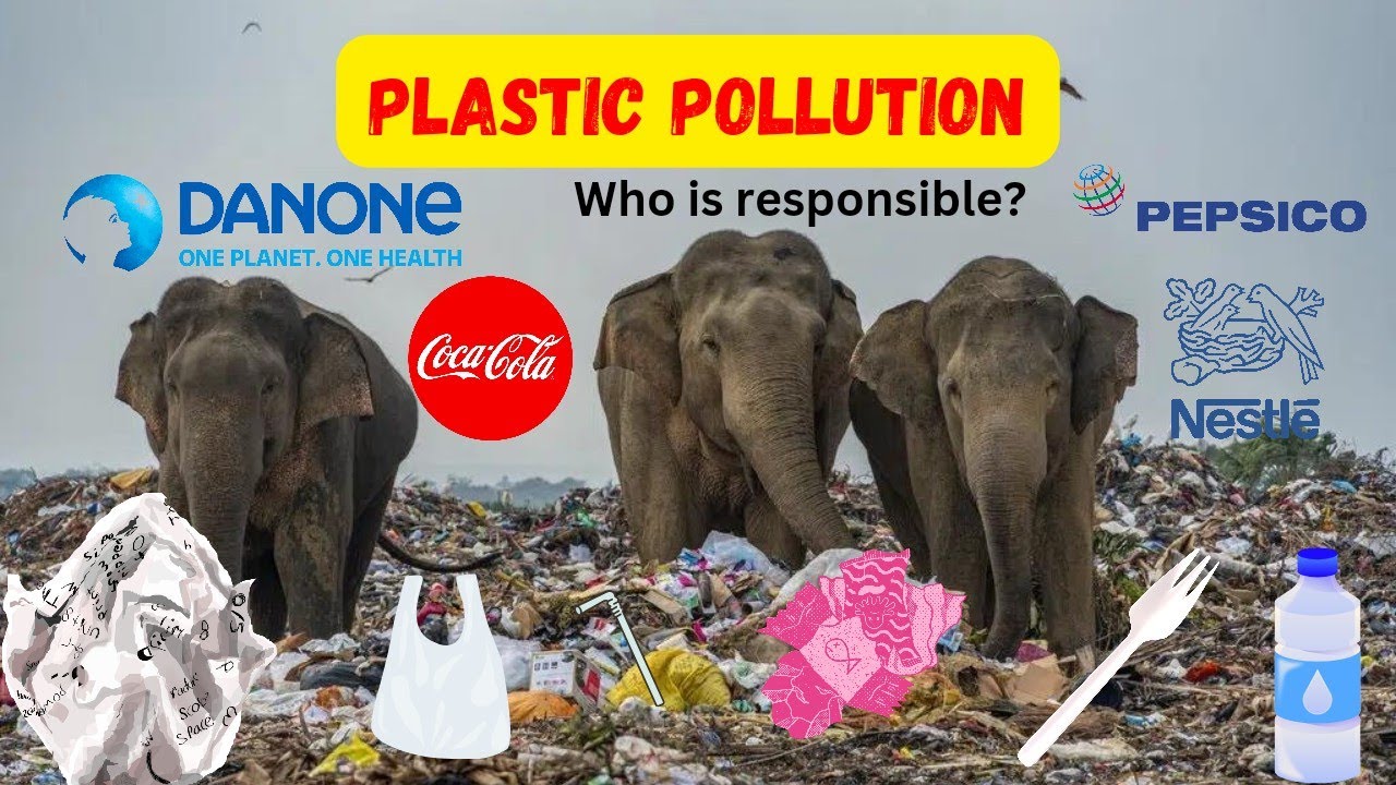Top Plastic waste producers in the world | Alternative of plastic found ...