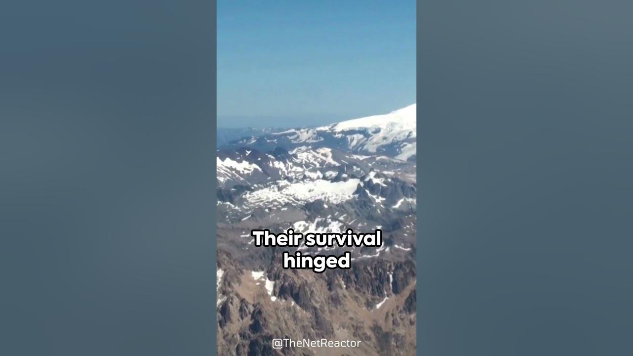 The Miracle of the Andes (1972) - YouTube