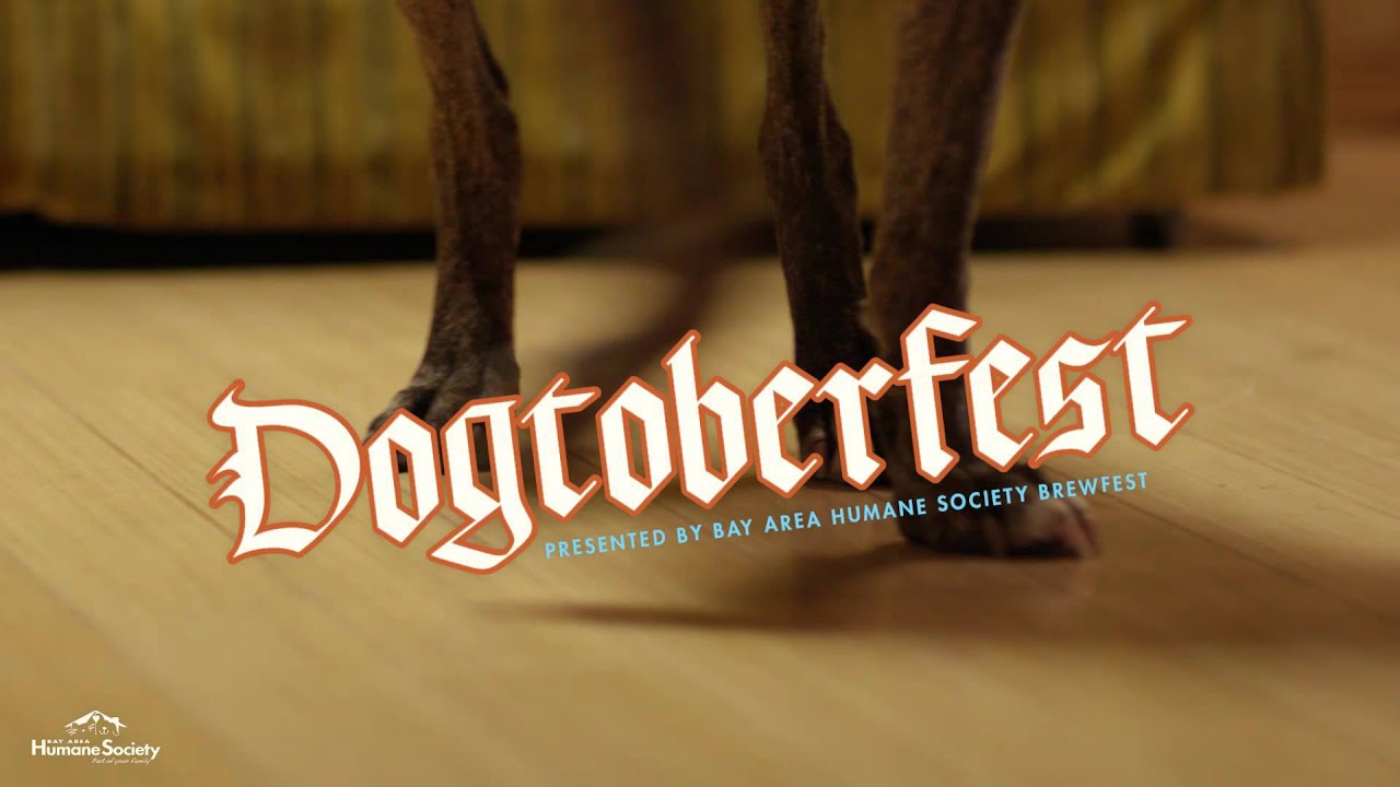 Bay Area Humane Society presents Dogtoberfest 2015 - YouTube
