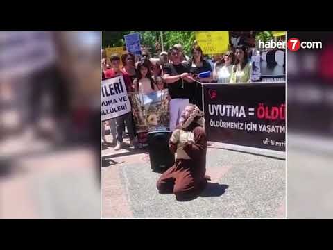 DELİRMİŞ BUNLAR. Ölen çocuklar yerine saldırgan köpekleri savunanların yaptıkları pes dedirtti