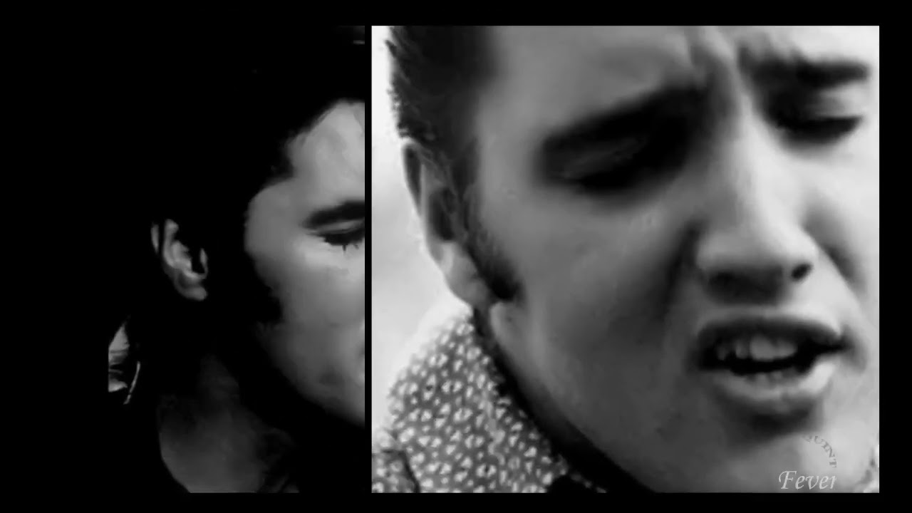 Fever Elvis Presley - YouTube