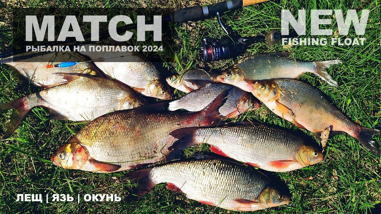 ЛУЧШАЯ РЫБАЛКА НА ПОПЛАВОК ЗА 2 ГОДА!!! Ловля ЛЕЩА и ЯЗЯ на ВОЛГЕ ...