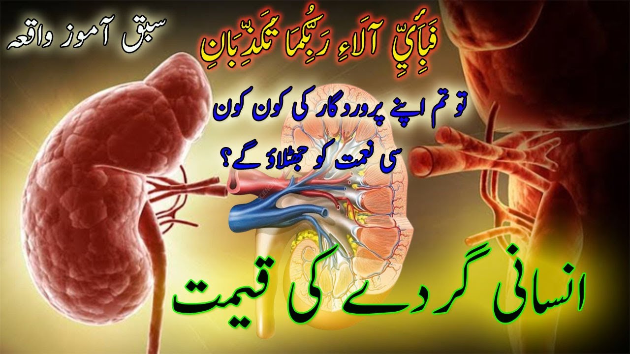 The Cost of Human Kidney | انسانی گردے کی قیمت | Allah pak ki qudrat ...