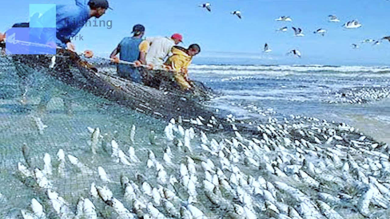 Amazing Big Catching and Processing Fish on The Sea || Amazing fishing ...