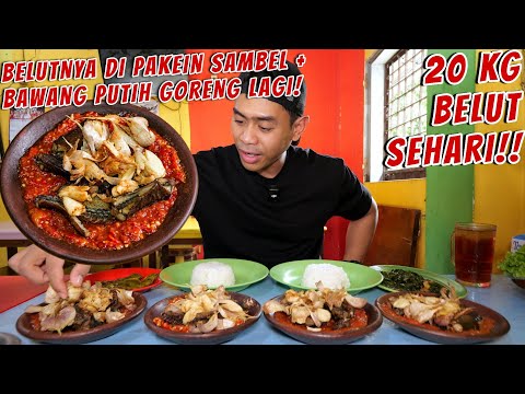 NEMU BELUT GORENG DI PAKEIN SAMBEL + BAWANG PUTIH GORENG!! SEHARI HABIS 20 KG BELUT!!!