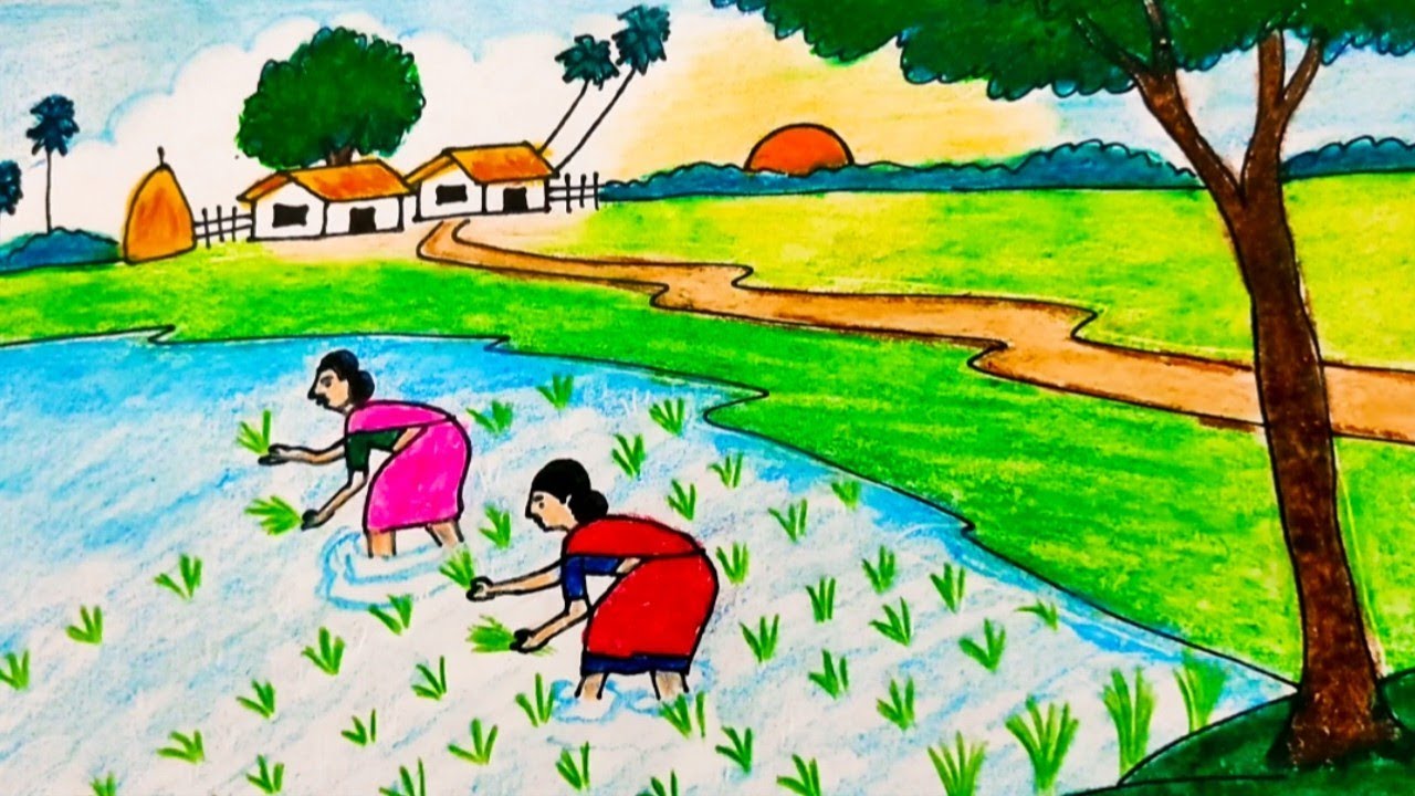 How to draw paddy field scenery drawing// village scenery drawing - YouTube