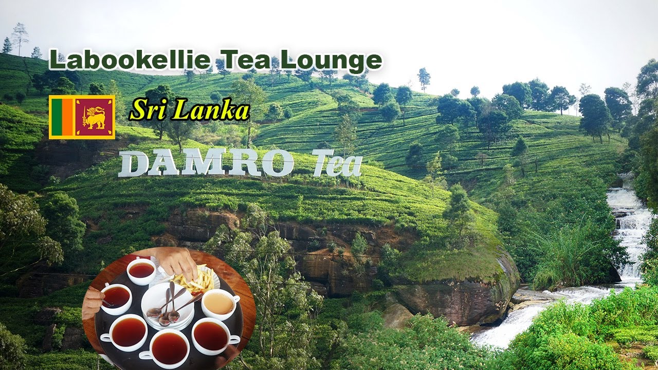 Labookellie Estate Tea Factory Nuwara Eliya Damro Tea Center - YouTube