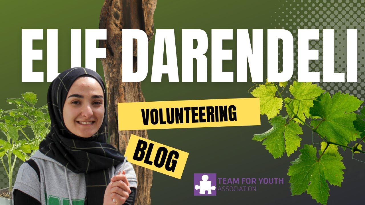 Volunteers Blog: Elif from Turkey - YouTube