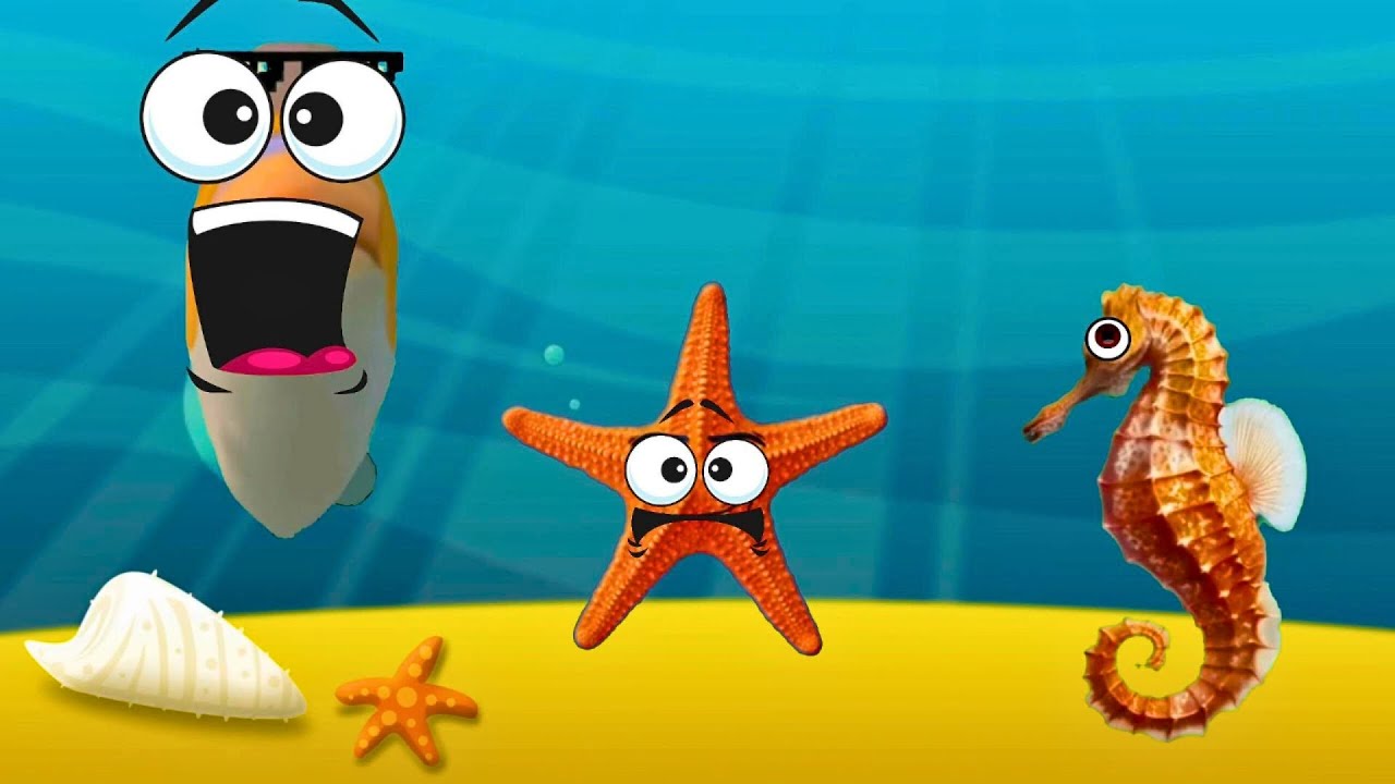 Oceanic Gegagedigedagedago meme - YouTube