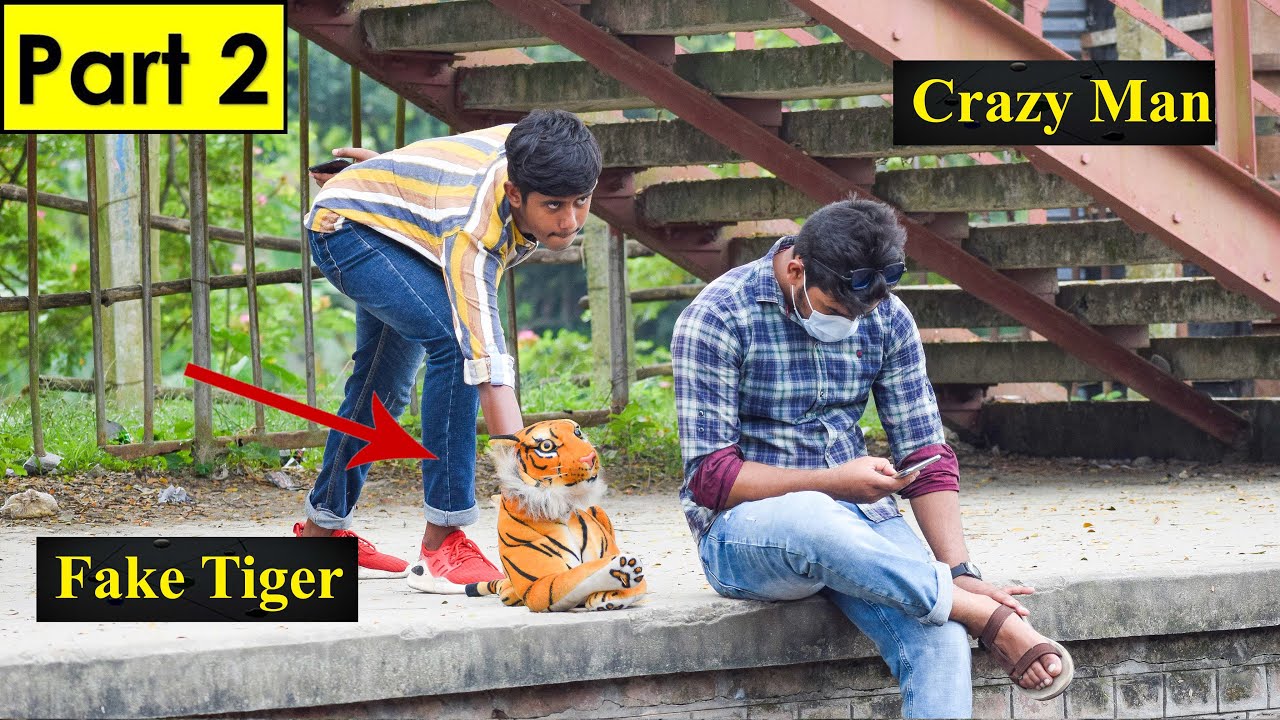 Fake Tiger Vs Man Prank Video - PART 2 | Very Funny Man Reaction with ...