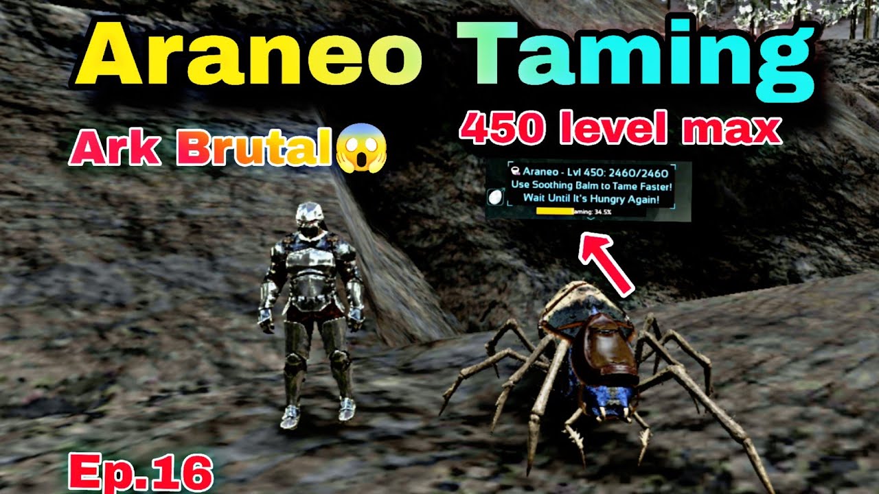 Araneo taming ark survival evolved casual and brutal😱 450 level max - YouTube
