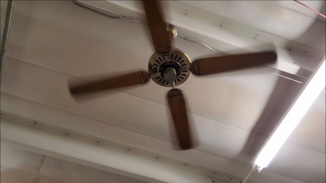 Family Center ceiling fan - YouTube