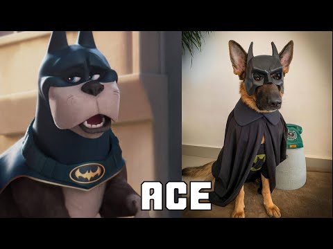 DC League of Super-Pets in Real Life