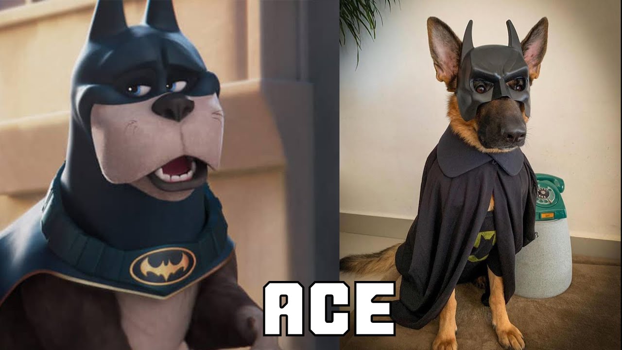 DC League of Super-Pets in Real Life - YouTube