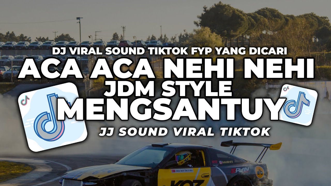 DJ DJ ACA ACA NEHI NEHI - BILA ADA UANG ABANG DI SAYANG BILA TAK ADA ...