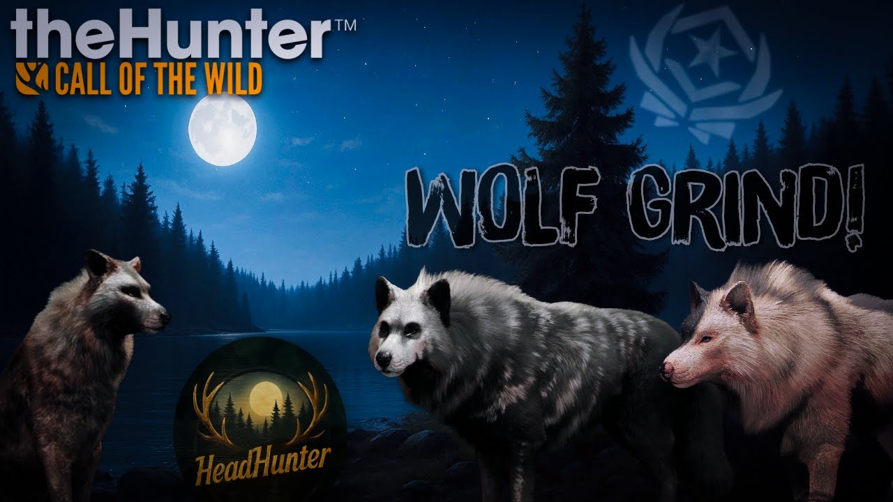 Wolf Grind! 243 kills in, TROPHY wolf on the map! | theHunter: Call of ...