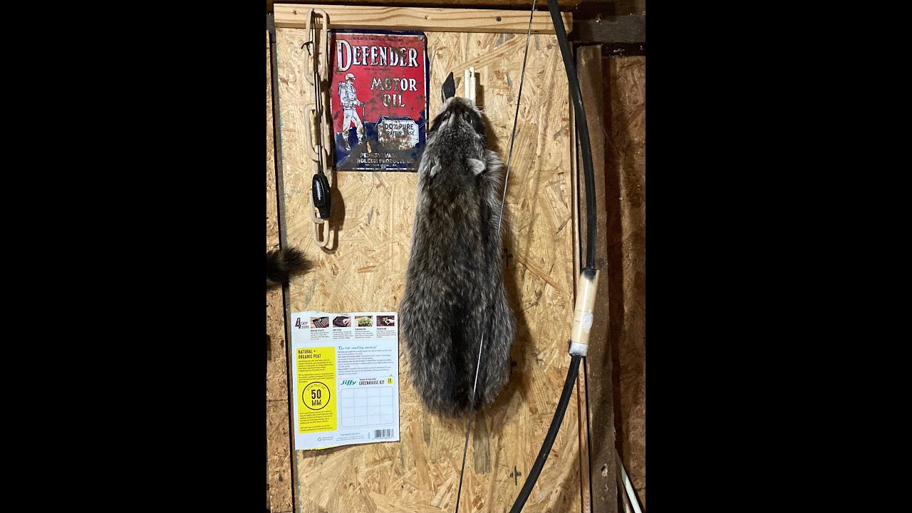 How to make a coon skin quiver - YouTube