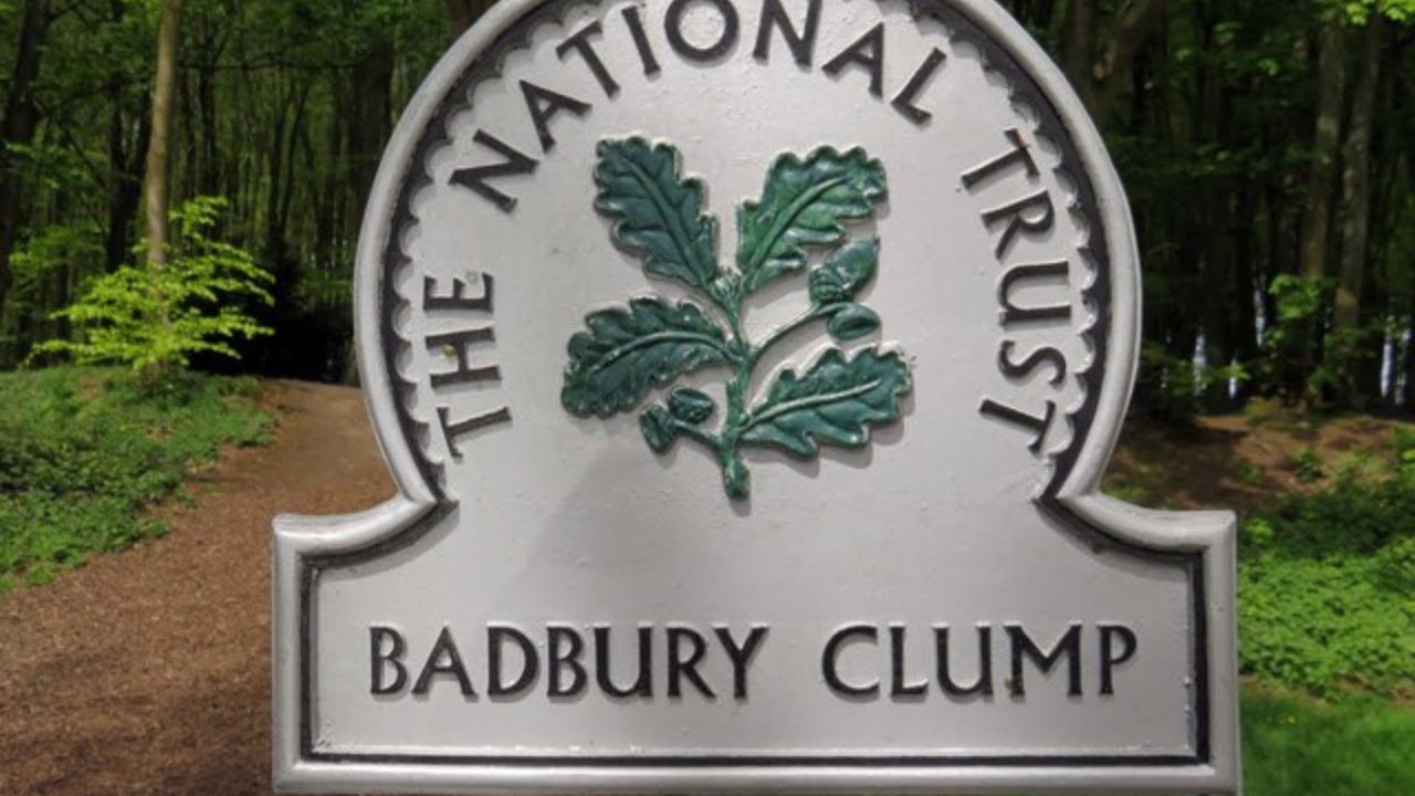 Badbury Clump Walk (Vlog) - YouTube