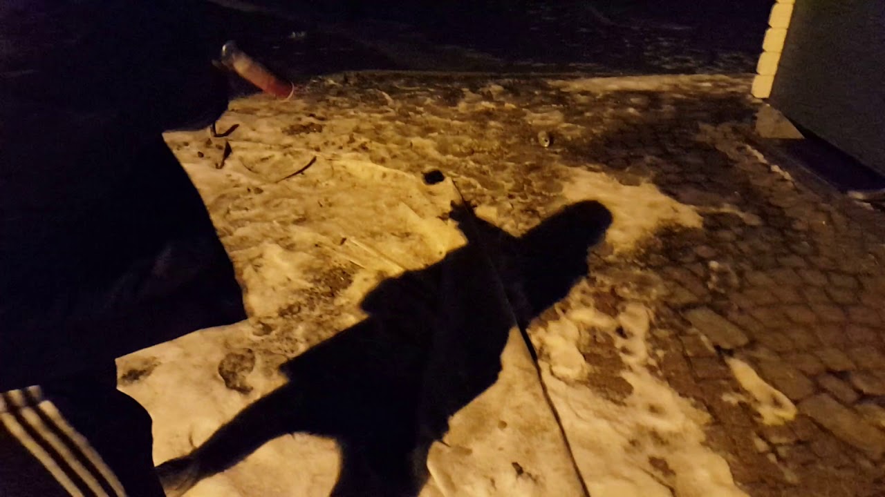 pringles bomb - YouTube