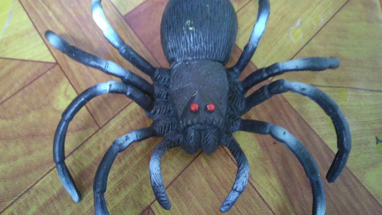 So I Throw Spider For 30 Second Straight - YouTube