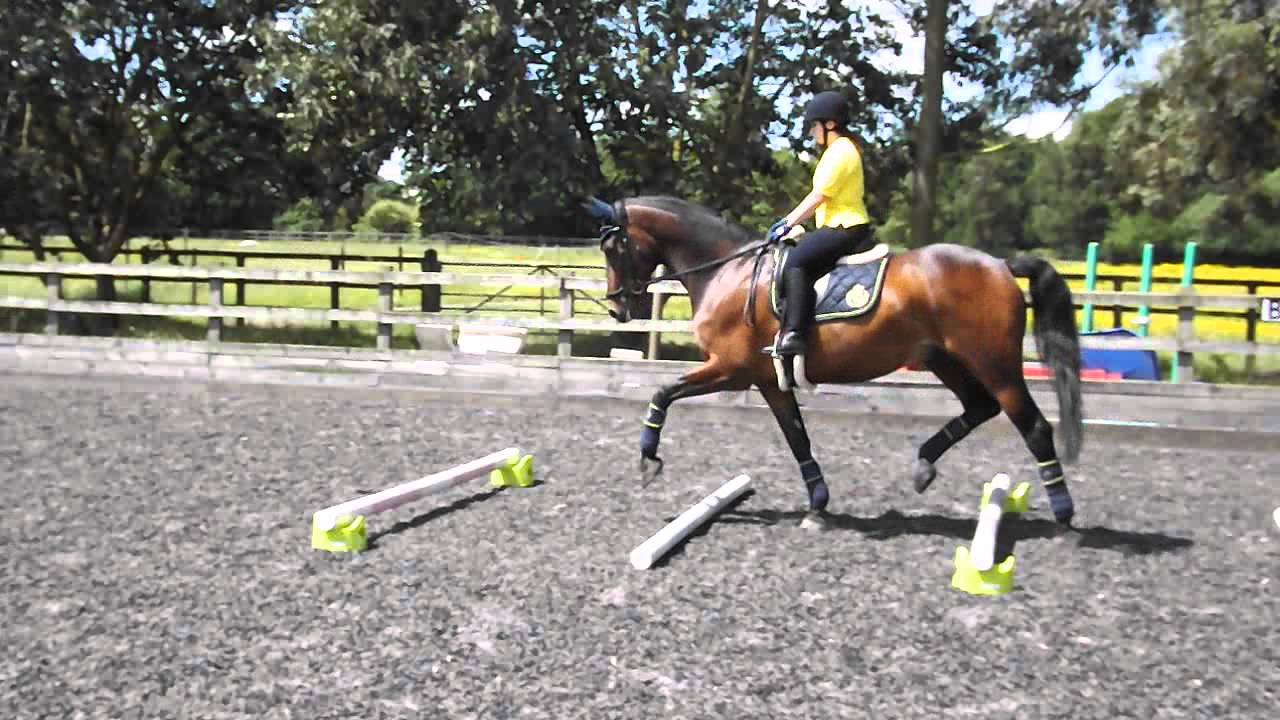 Trotting poles 2 - YouTube