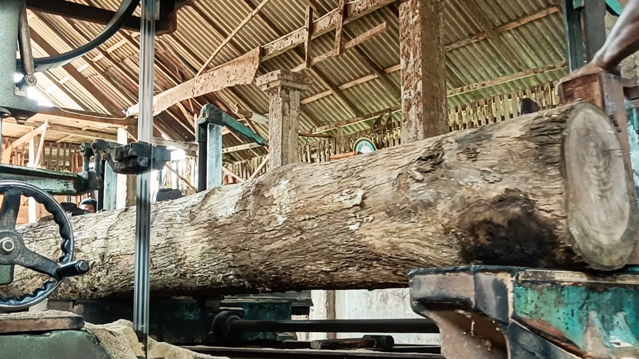 Teak wood splitting process for door frames with a length of 4 meters ...