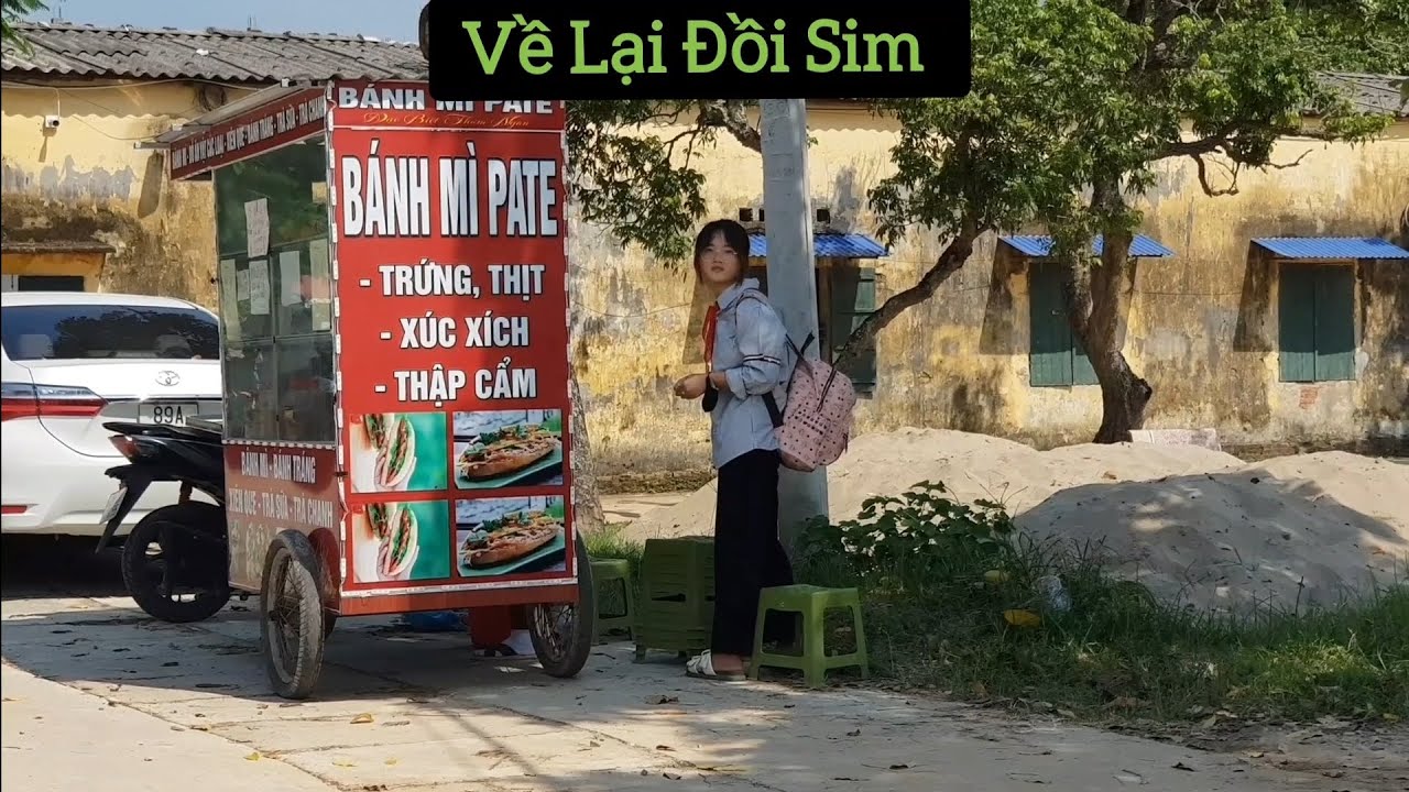 Về Lại Đồi Sim - Mai Tiến Đạt - YouTube